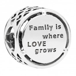 Family Roots sterling silver charm 797590 - Sabina