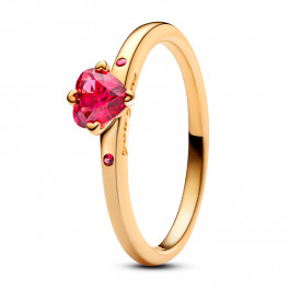 Love Explosion Ring 166574C01 - Sabina